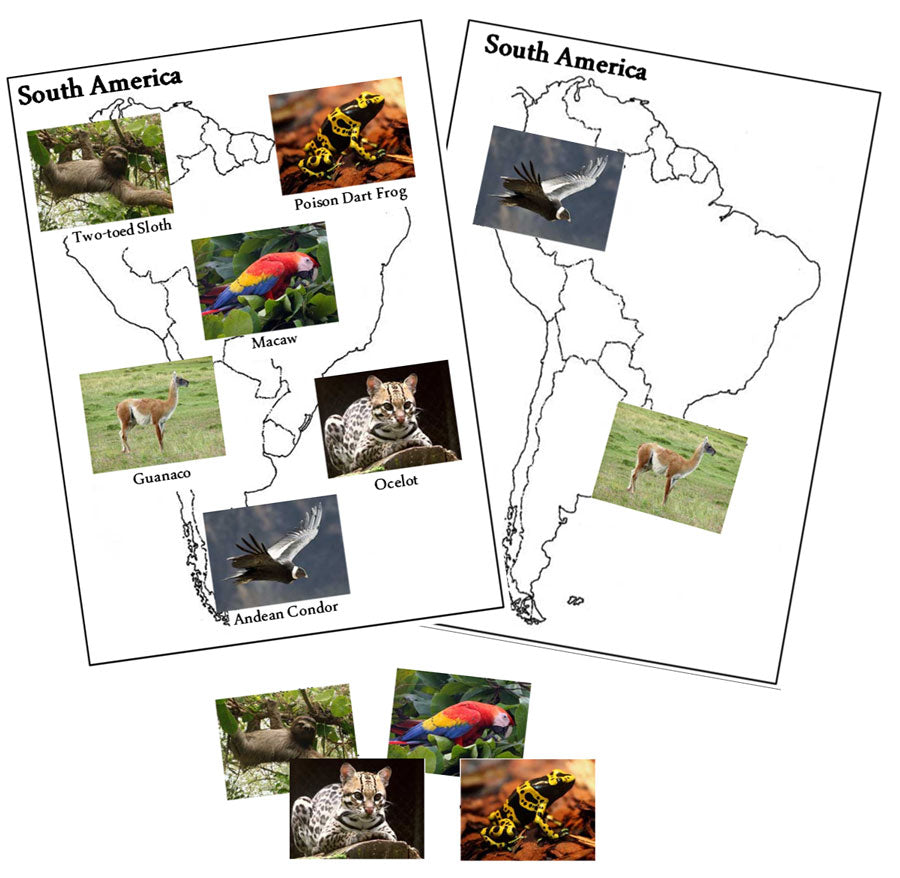 Animals of the Continents (Set 1) - Montessori Print Shop