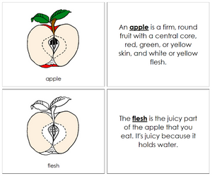Parts of an Apple Nomenclature Book - Montessori Print Shop Digital ...