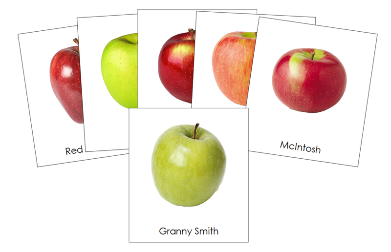 Types of Apples 3-Part Classified Cards - Montessori Print Shop Digital ...