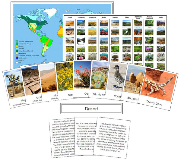 Biomes of the World - Montessori Print Shop Digital Download
