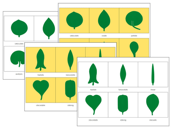 Montessori Botany Cabinet Control Charts - Montessori Print Shop