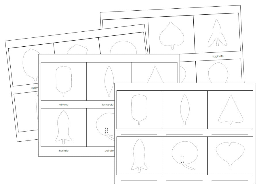 Montessori Botany Cabinet Worksheets - Montessori Print Shop Digital ...