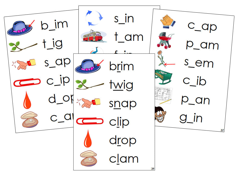 Step 2: CCVC Missing Consonant Cards - Montessori Print Shop