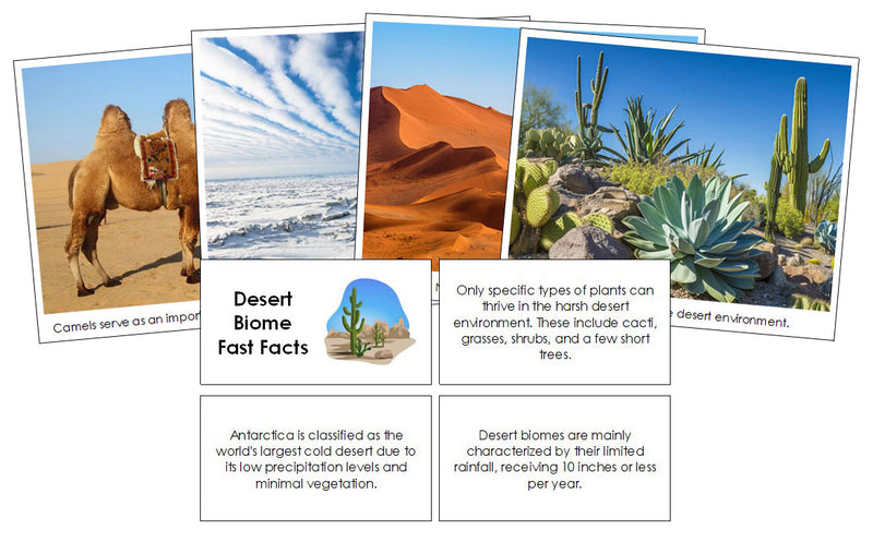Desert Biome Fast Fact Cards & Pictures - Montessori Print Shop Digital ...
