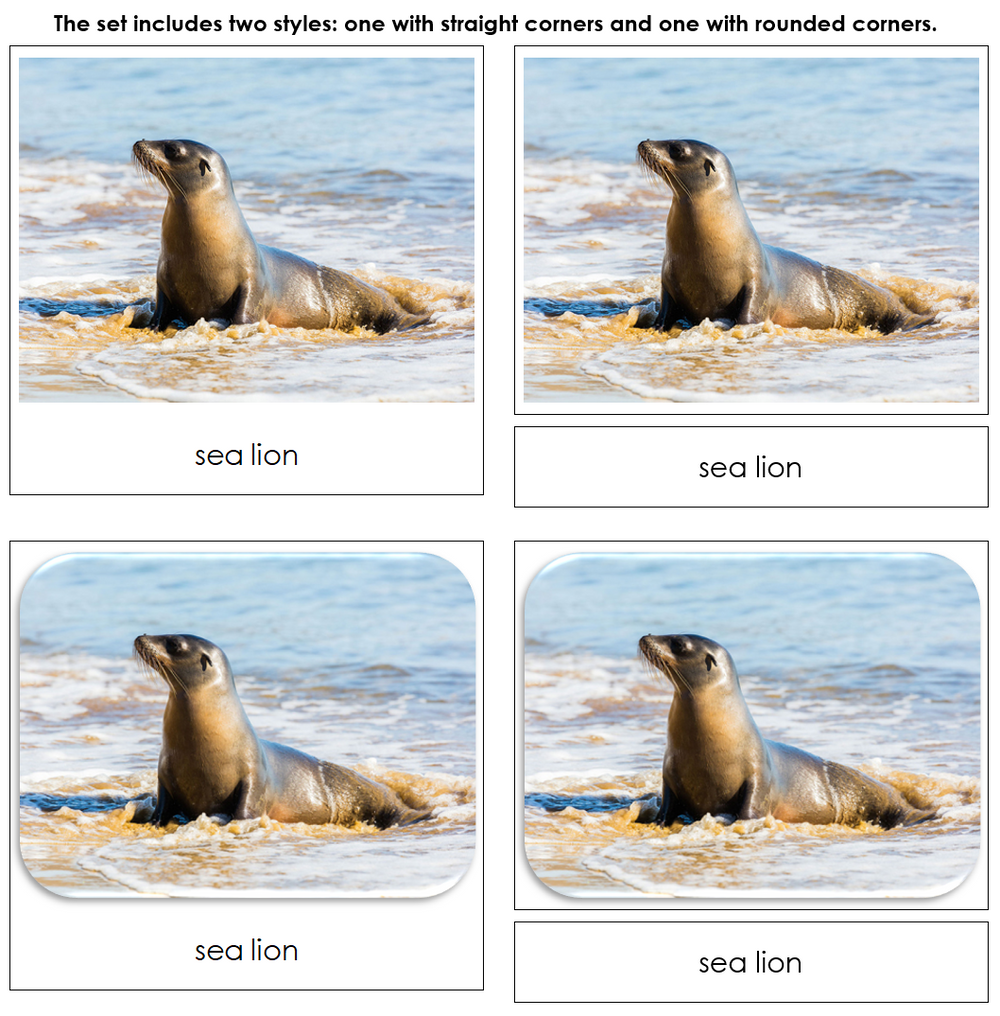 Endangered Species (Marine) Safari Toob Cards - Montessori Print Shop ...