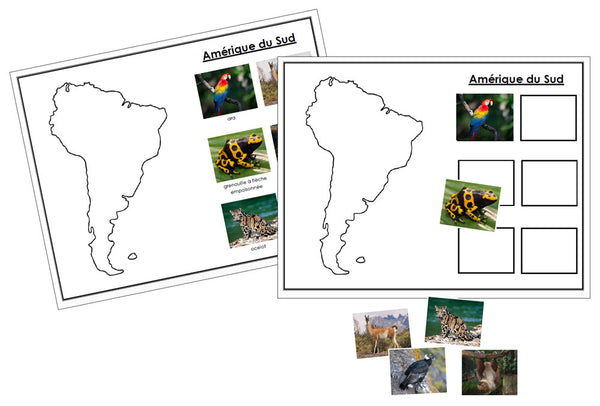 Animals of the Continents Set 2 - FRENCH - Montessori Print Shop