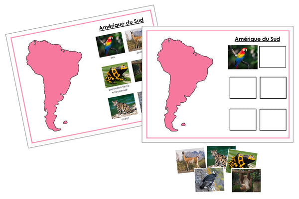 Animals of the Continents (Set 2) FRENCH - Montessori Print Shop