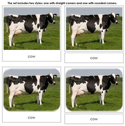 Farm Safari Toob Cards - Montessori Digital Download - Montessori Print ...