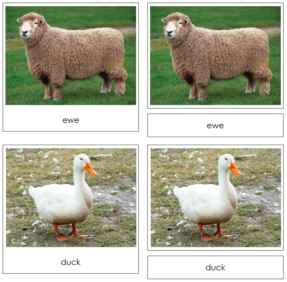 Farm Safari Toob Cards - Montessori Digital Download - Montessori Print ...