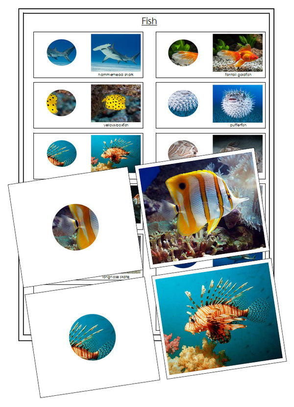 Reptiles Part To Whole Matching - Montessori Print Shop