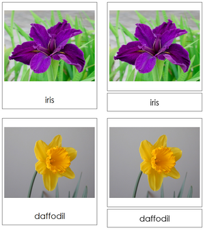 Flowers (Set 1) - Montessori Print Shop Digital Download