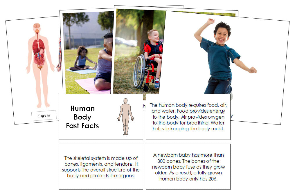 Science Fast Facts & Pictures - Montessori Print Shop