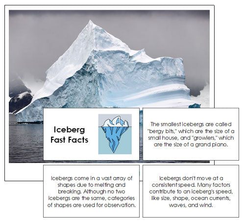 Iceberg Fast Fact Cards - Montessori Print Shop