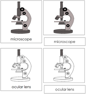 Parts of a Microscope Nomenclature Cards - Montessori Digital Download ...