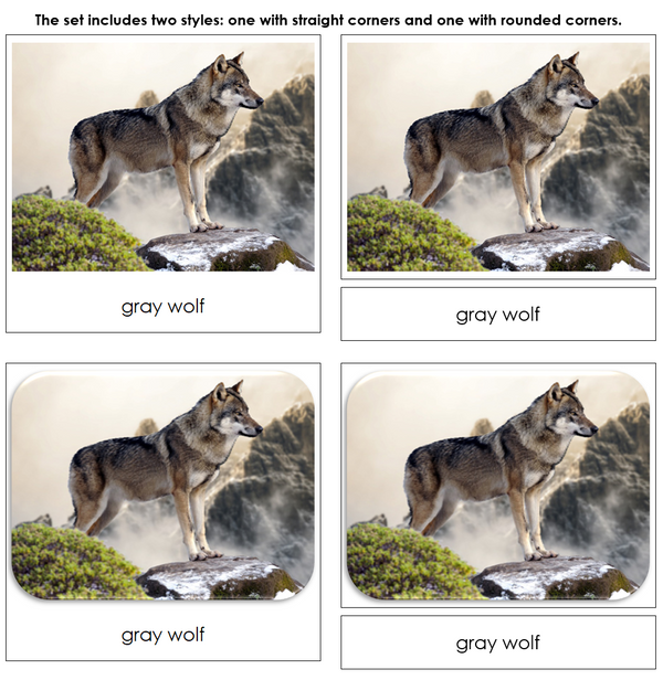 Nature Safari Toob Cards - Montessori Print Shop Digital Download