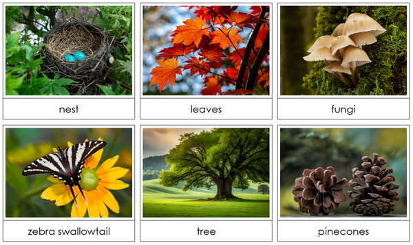 Phonetic Nature Alphabet Cards - Montessori Print Shop