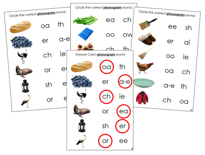 Phonogram Sound Choice Cards Set 1 Step 3 (photos) - Montessori Print ...