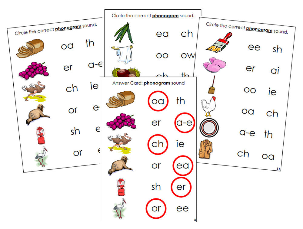 Phonogram Sound Choice Cards Set 1 (Step 3) - Montessori Print Shop