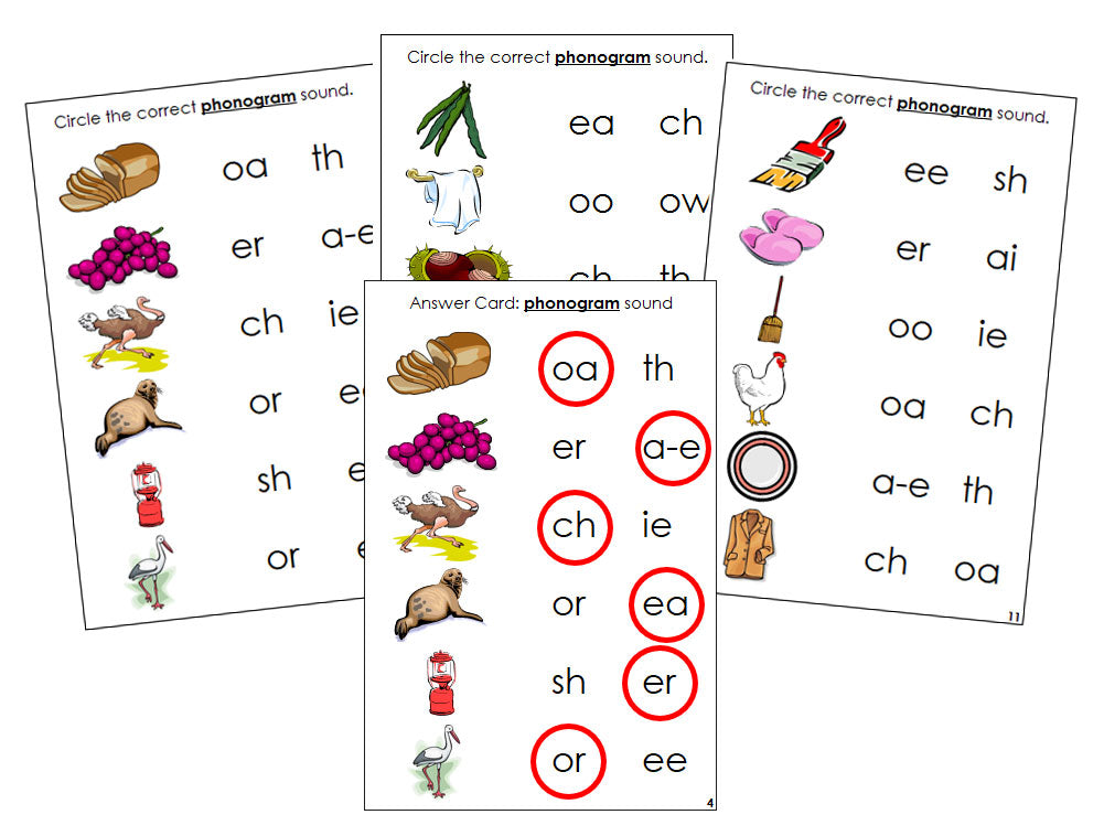 Phonogram Sound Choice Cards Set 1 (Step 3) - Montessori Print Shop