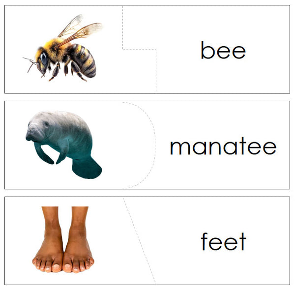 Phonogram Words & Picture Puzzles - Montessori Print Shop