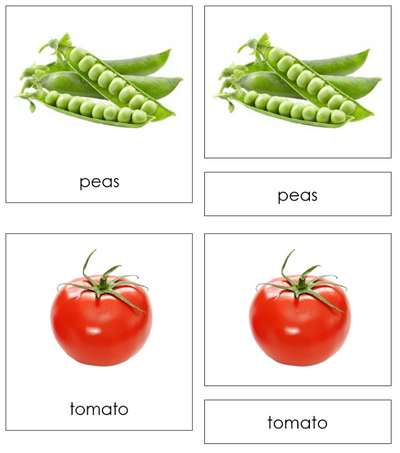 Plants We Eat - Montessori Print Shop Digital Download
