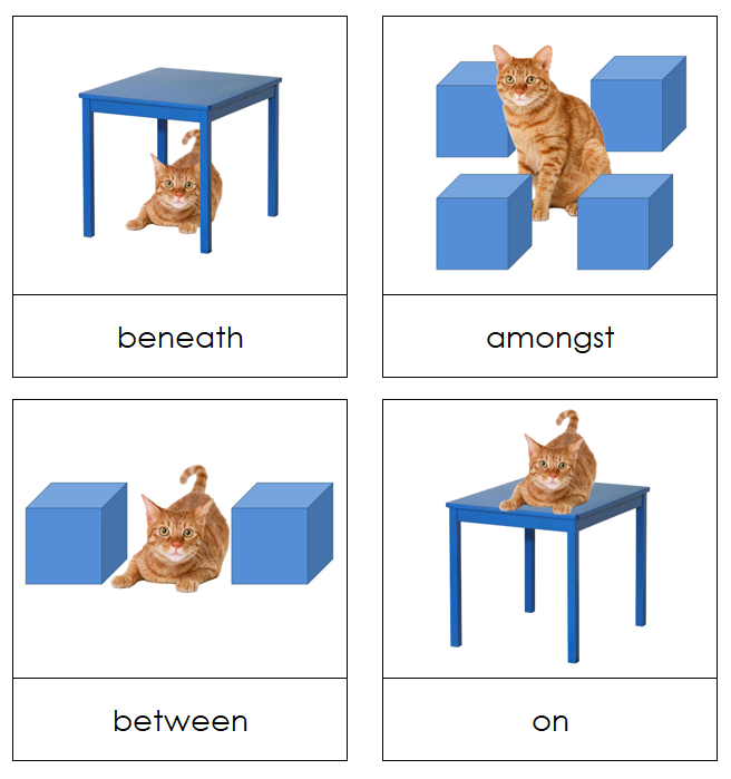 Preposition Cards - Montessori Print Shop