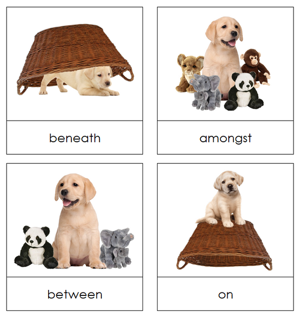 Preposition Picture Cards - Montessori Print Shop