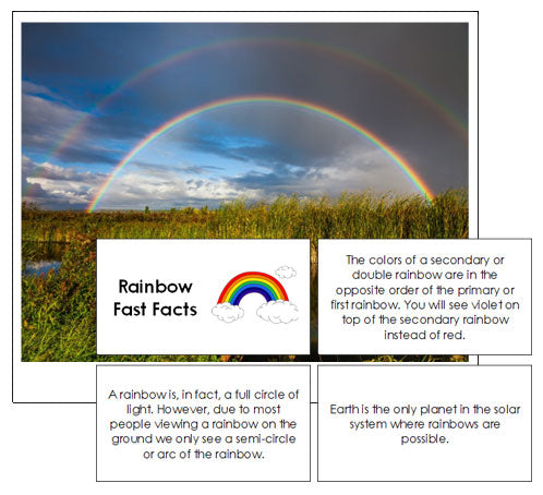 Rainbow Fast Fact Cards - Montessori Print Shop