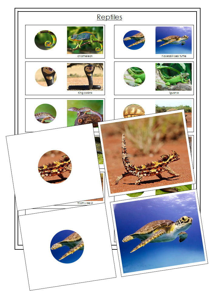 Vertebrates & Invertebrates - Montessori Print Shop Page 2
