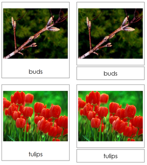 Spring Season - Montessori Print Shop