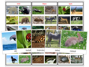 Animal Coverings (Stripes, Spots & Solid) - Montessori Print Shop ...