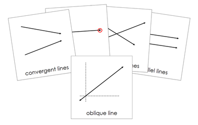 The Study of Lines Cards - Montessori Print Shop