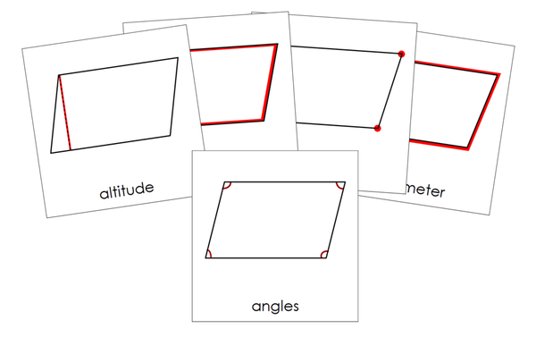 Study of a Parallelogram Cards - Montessori Print Shop Digital Download