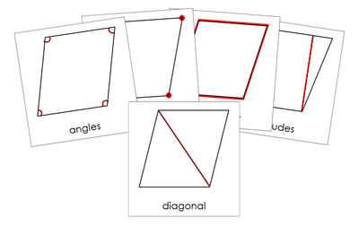 Study of a Rhombus Cards - Montessori Print Shop Digital Download