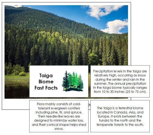 Taiga Biome Fast Facts & Pictures - Montessori Print Shop