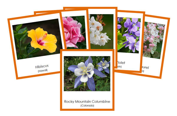State Flowers of the USA - Montessori Print Shop Digital Download