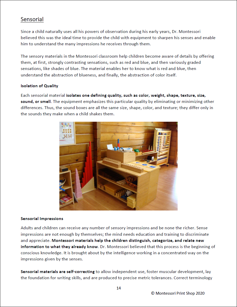 Primary Montessori Education: Understanding the Theory by Montessori ...