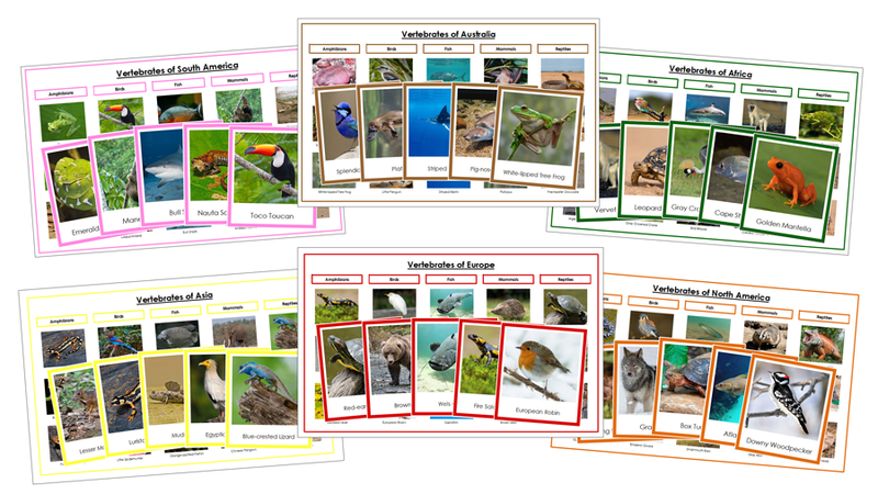 Montessori Science Lessons - Montessori Print Shop