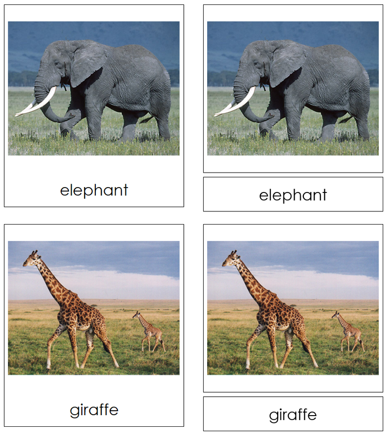 Wild Animals - Montessori Print Shop