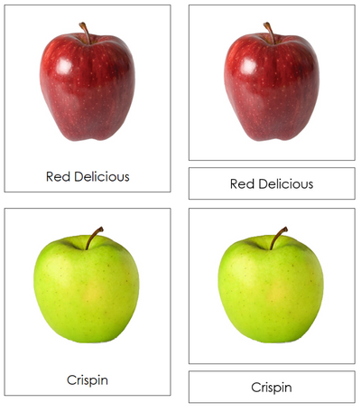 Types of Apples 3-Part Classified Cards - Montessori Digital Download ...