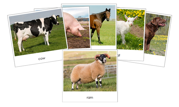 Farm Safari Toob Cards - Montessori Digital Download - Montessori Print ...