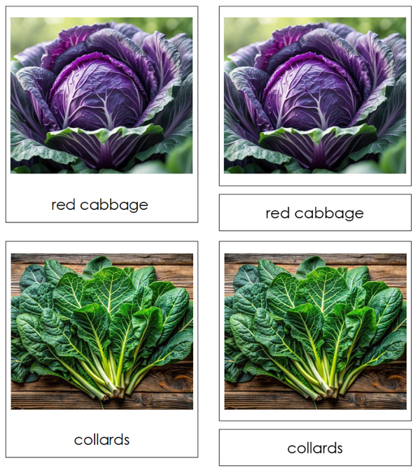 Types of Leaf Vegetables Classified Cards (Set 1) - Montessori Print ...