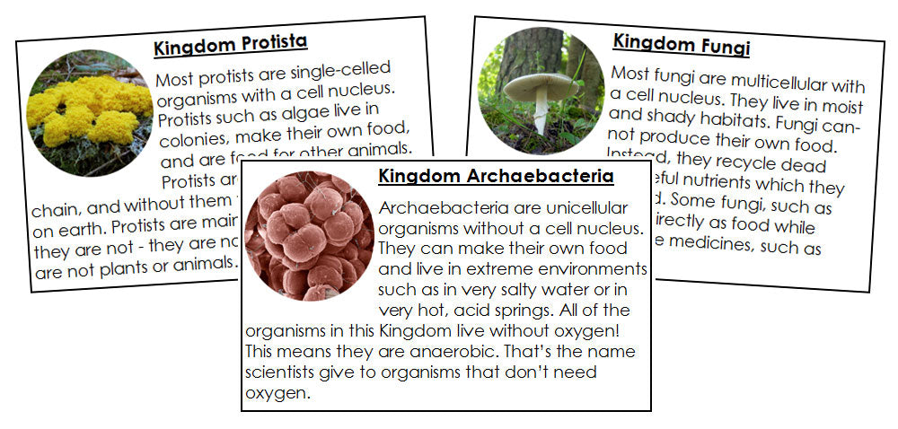 Six Kingdoms of Life Quiz Cards - Montessori Print Shop