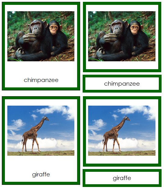 African Animals - Montessori Print Shop
