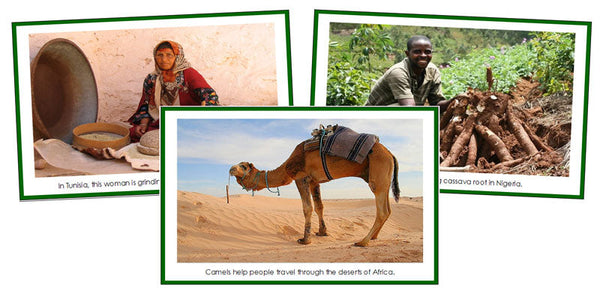 Africa Continent Cards - Montessori Print Shop