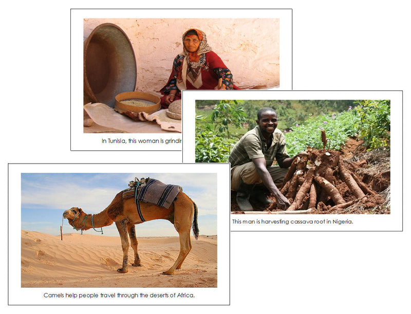 Africa Deluxe Continent Bundle - Montessori Print Shop