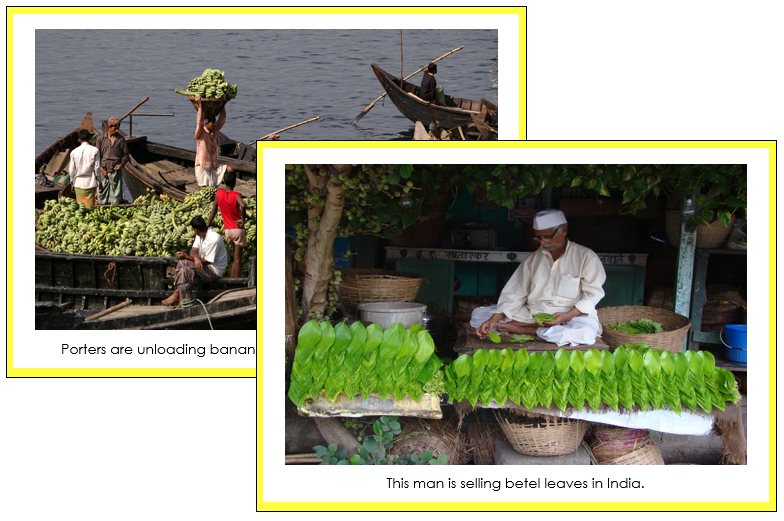 Asia Deluxe Continent Bundle - Montessori Print Shop