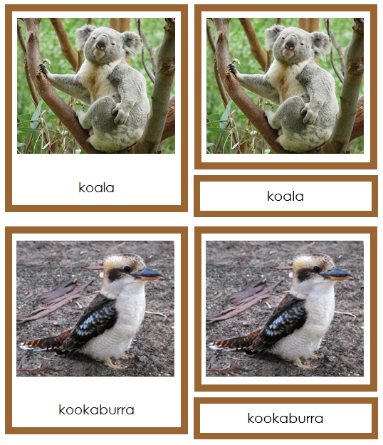 Australia/Oceania Deluxe Continent Bundle - Montessori Print Shop ...