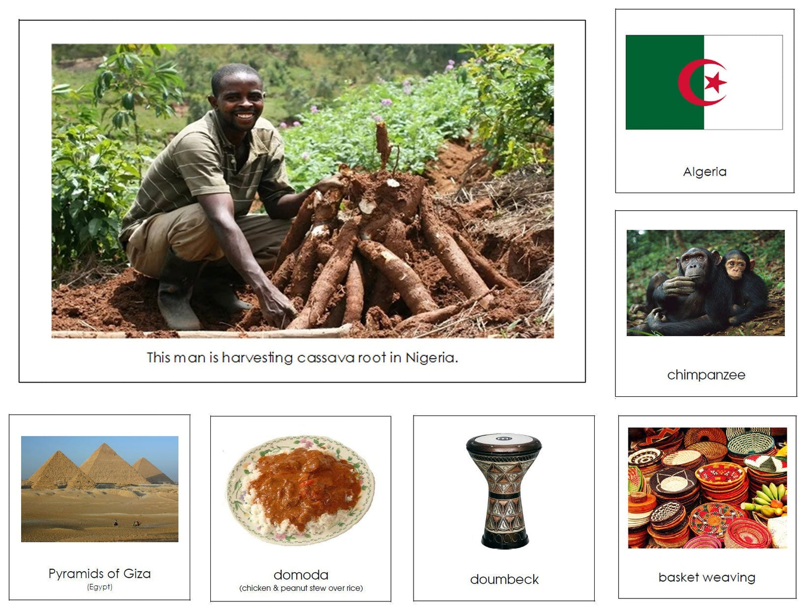 Montessori Geography Continent Cards - Montessori Print Shop