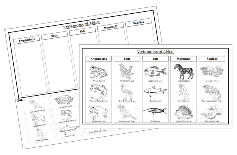 Animals of Africa (color-coded) - Montessori Print Shop